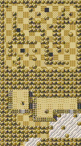 Pokéarth - Johto - Ice Path